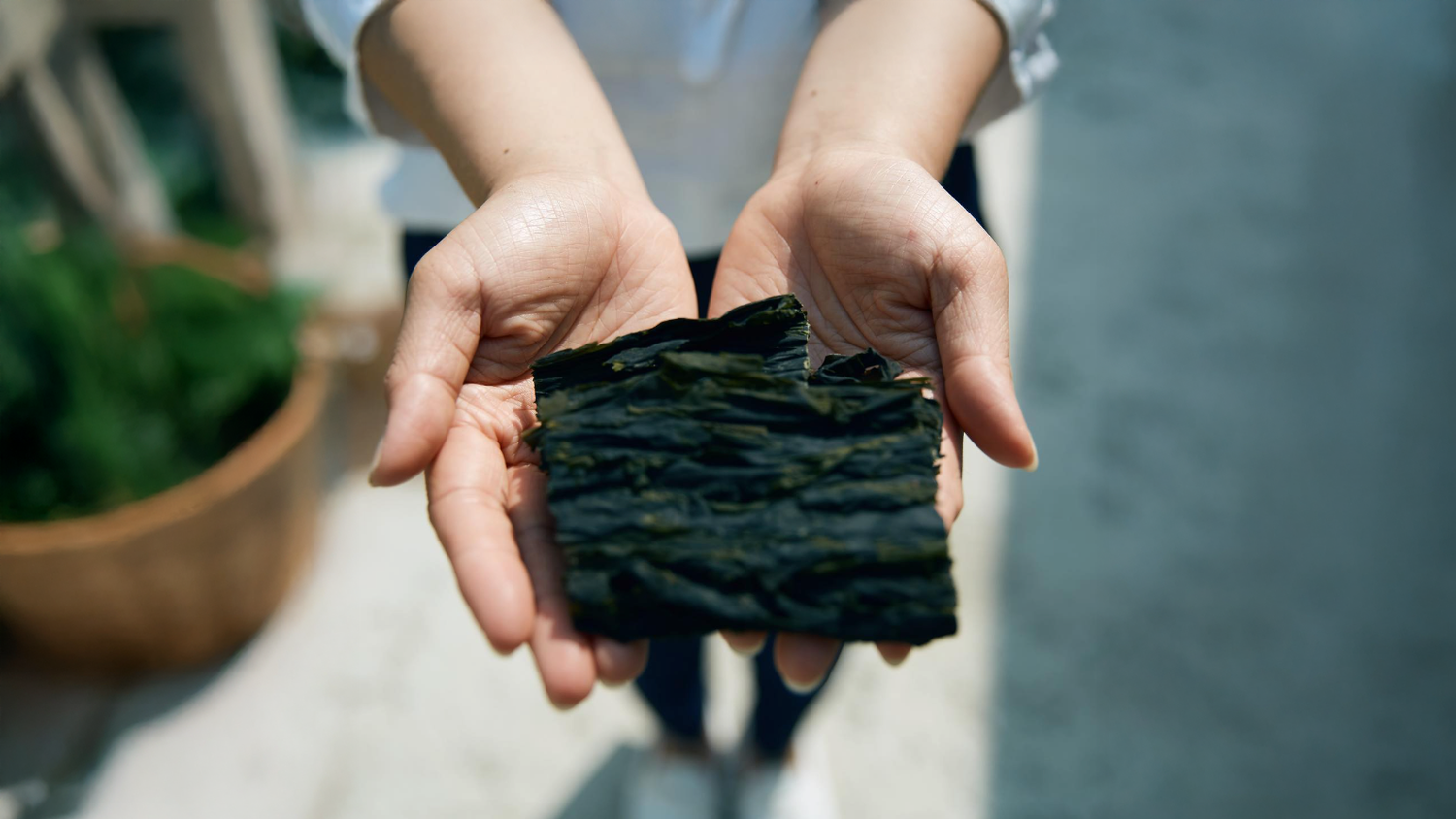 All About Korean Seaweed: Types, Culture & Benefits | Kim’C Market ...