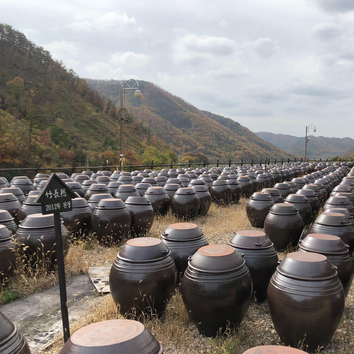 Premium BARO Doenjang (Soybean Paste) – Kim'C Market